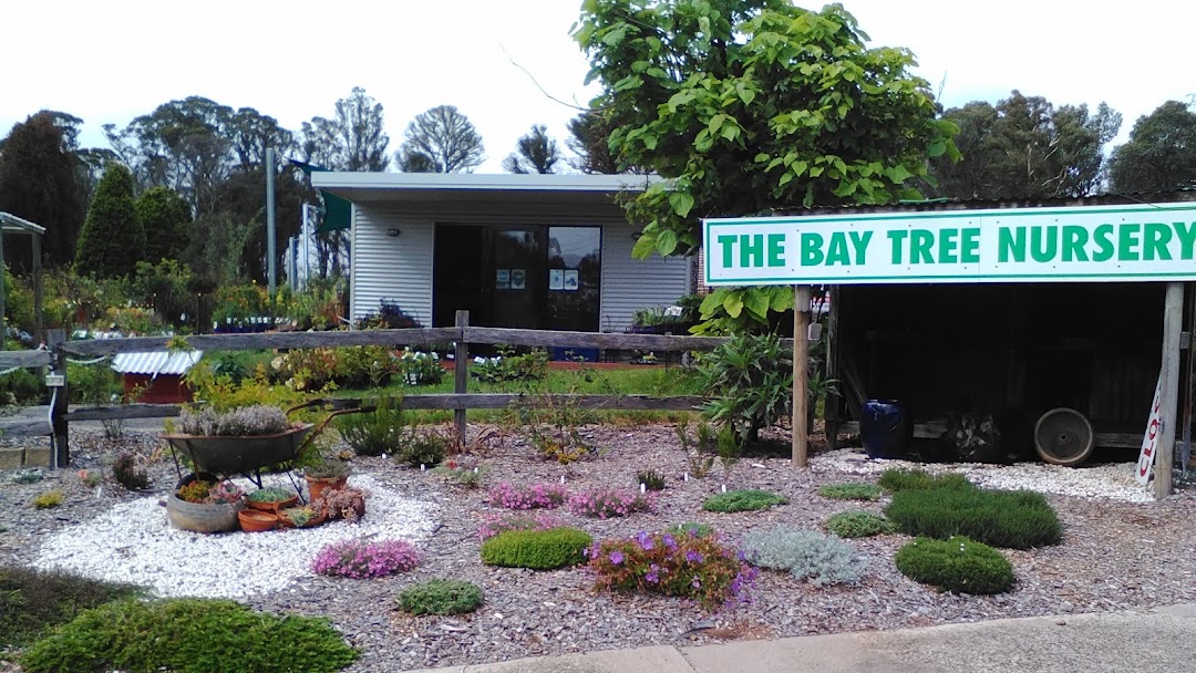 The Bay Tree Nursery | Garden Center in Clarence, NSW - Bay Tree Nursery